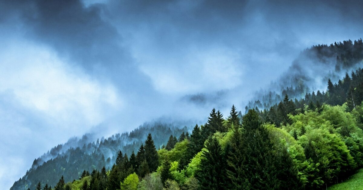 Climate Analytics | No sector on track to meet global climate goals,…