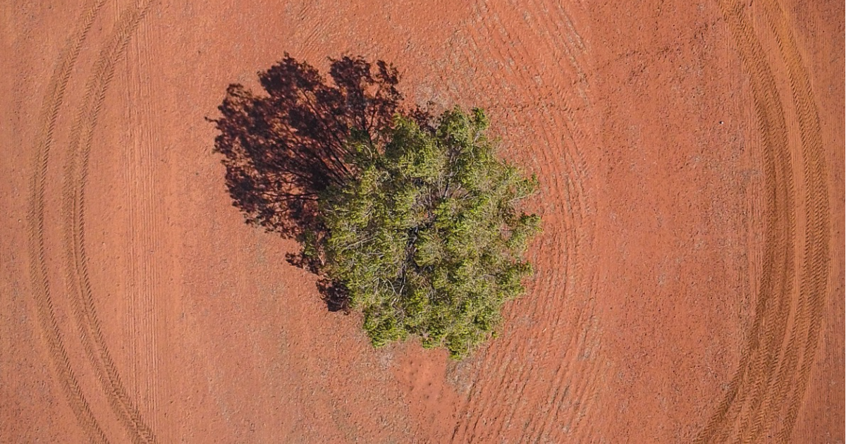 Climate Analytics | Why offsets are not a viable alternative to…