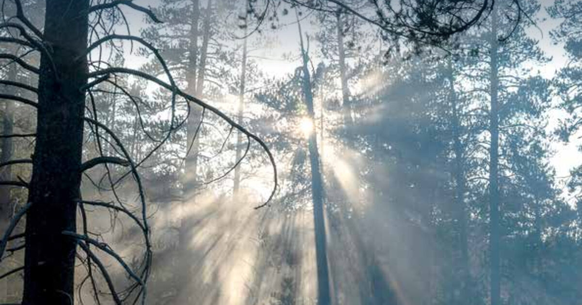 Climate Analytics State Of Climate Action 2021